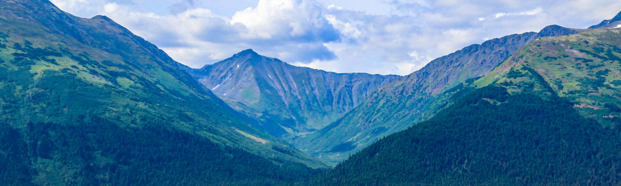 gothamCulture | State of Alaska Department of Revenue Case Study